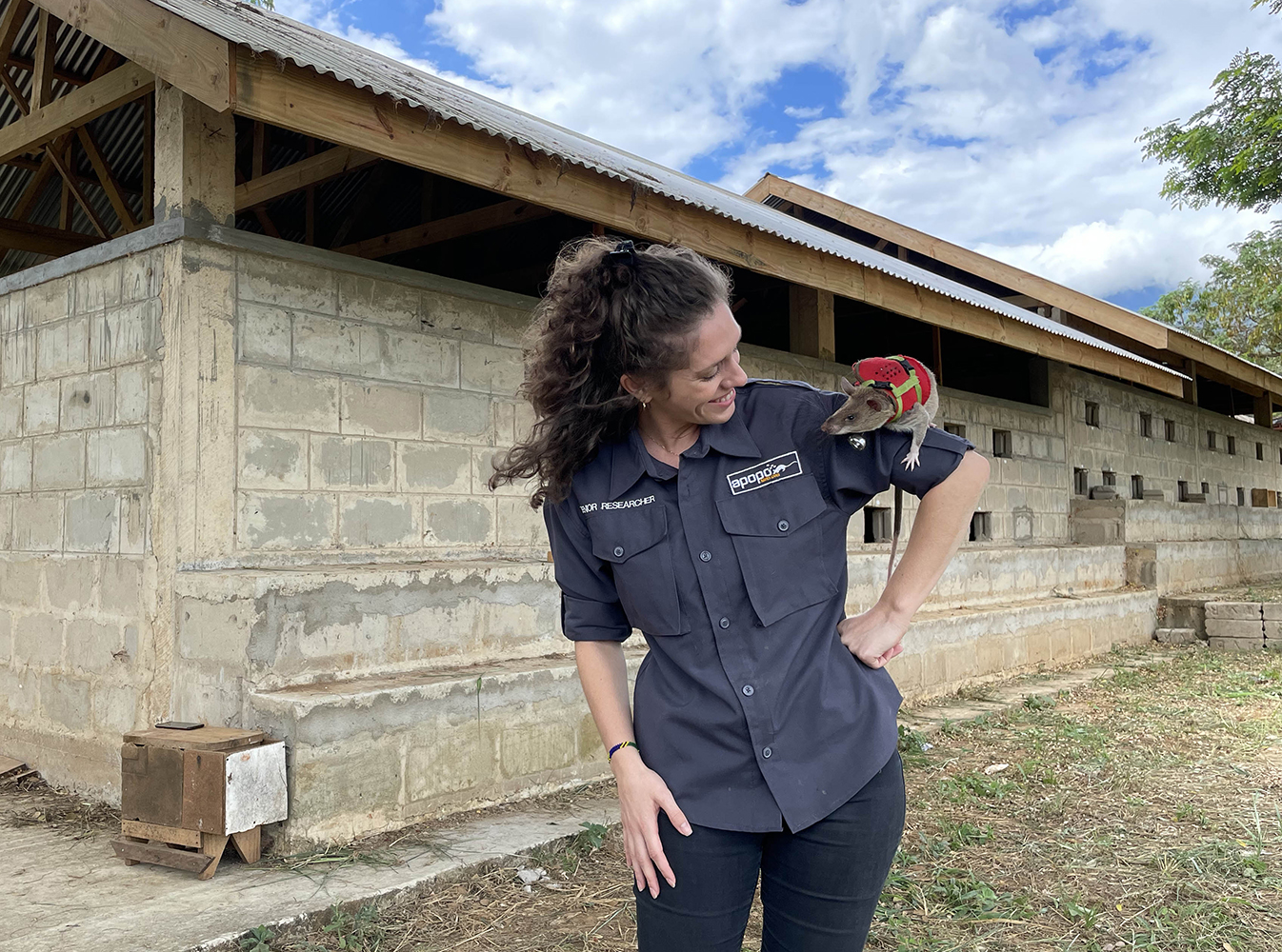 Horizons: Search and rescue rats are being trained to find earthquake ...