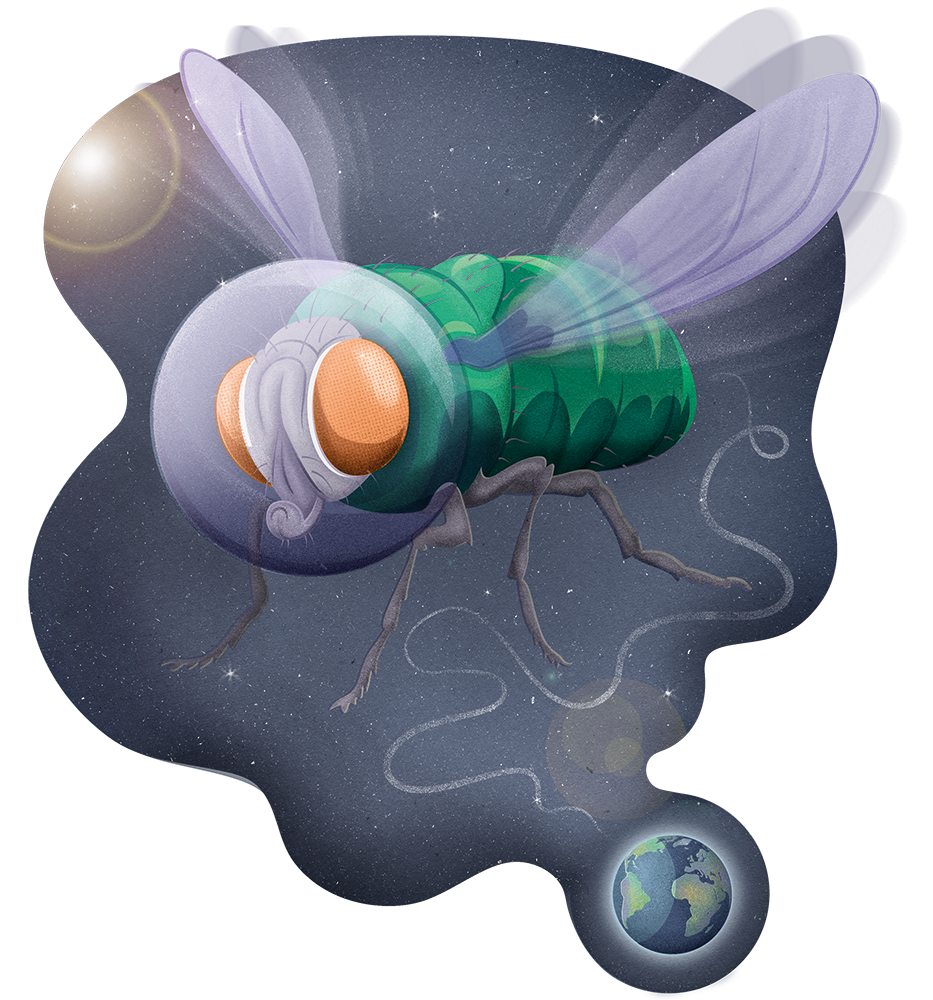 Crowdscience: How high can insects fly? – BBC Science Focus