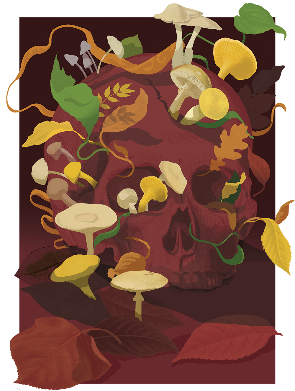 The explainer: Fungi – BBC Science Focus