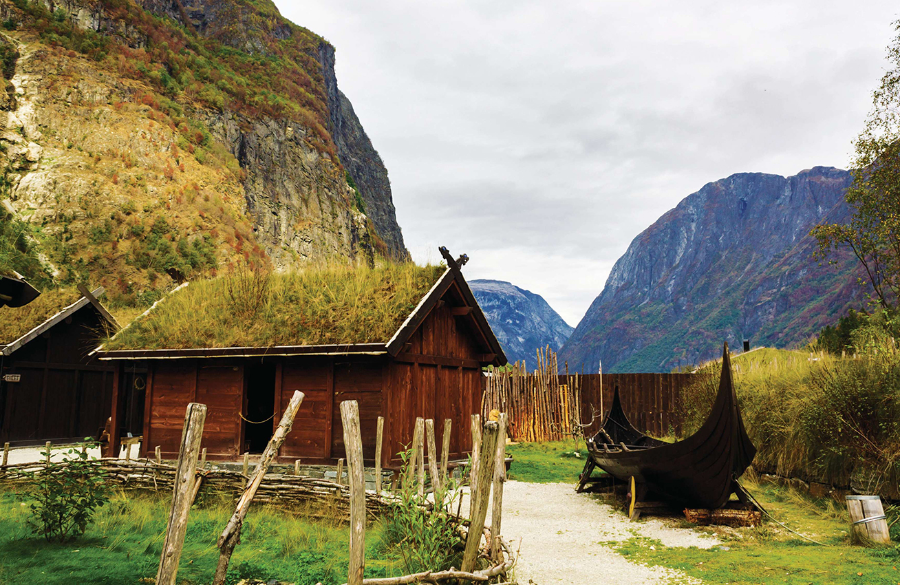 Parasite from fossilised Viking poo has genome mapped – BBC Science Focus