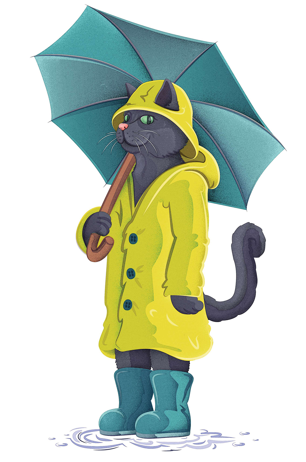 How do cats know when it’s about to rain? – BBC Science Focus