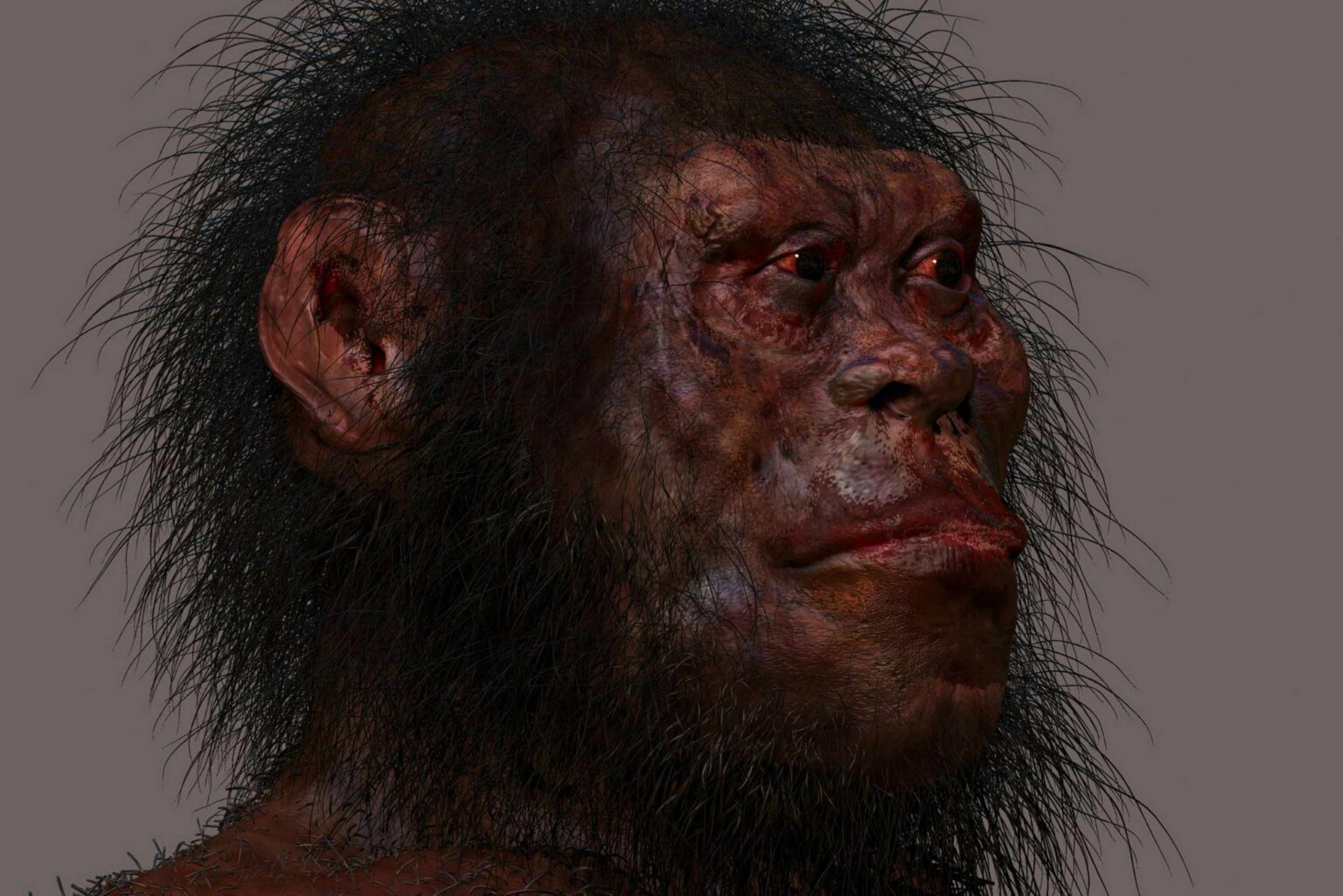 Like modern humans, homo naledi harnessed fire for light, warmth and ...