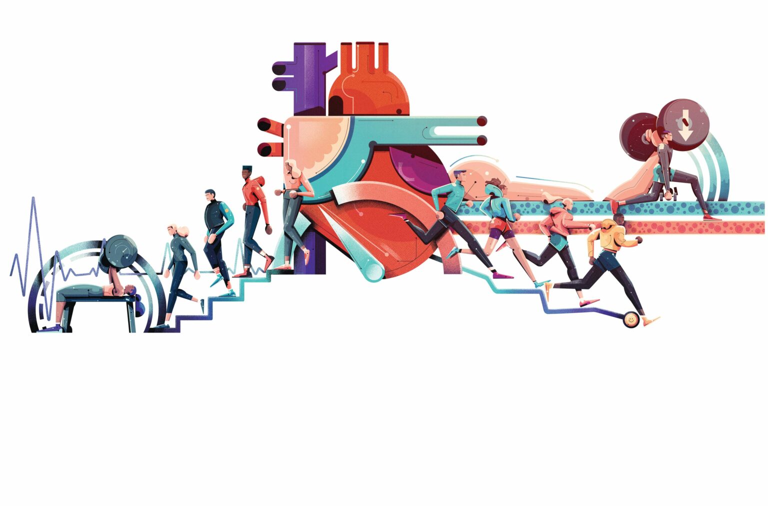 The new world of eccentric exercise – BBC Science Focus