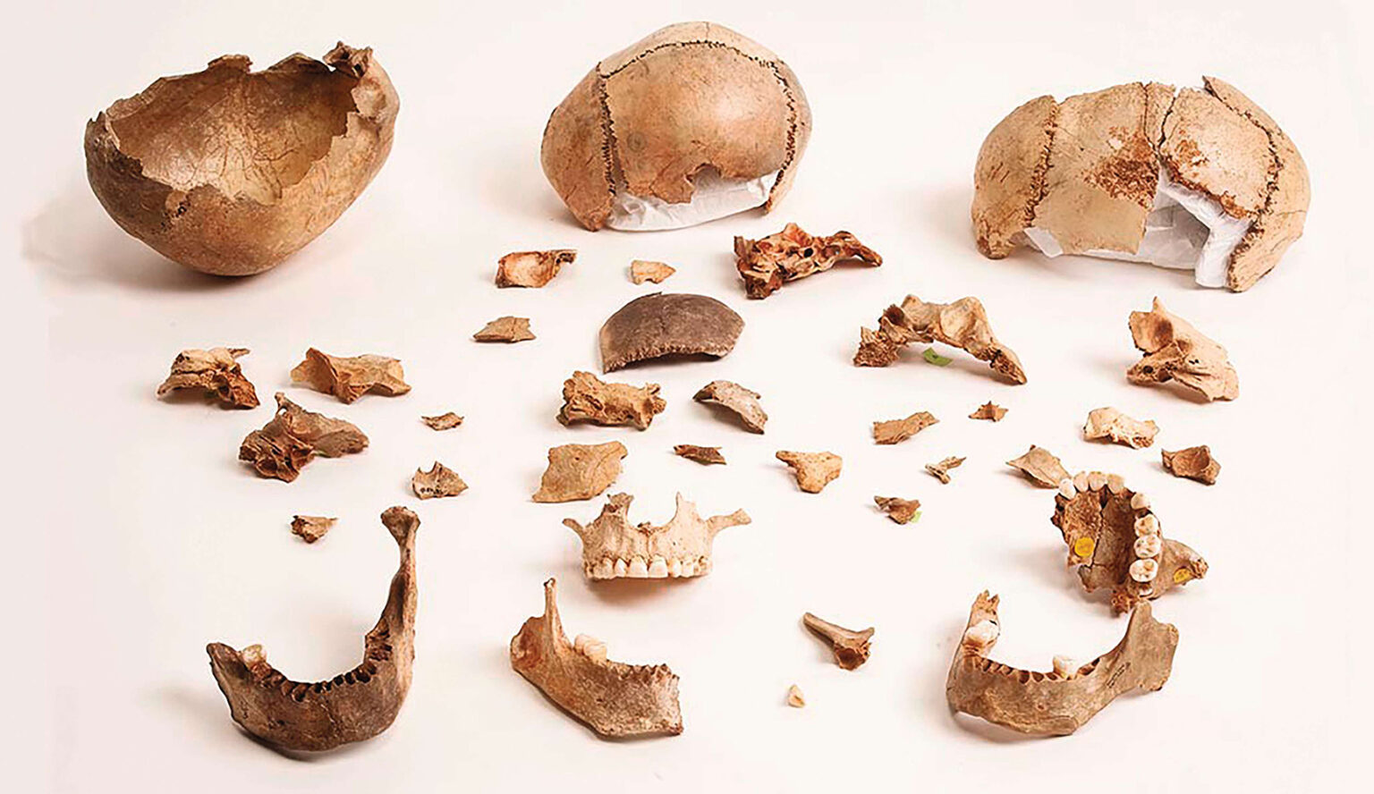 Oldest human DNA ever found in the UK reveals two distinct populations ...