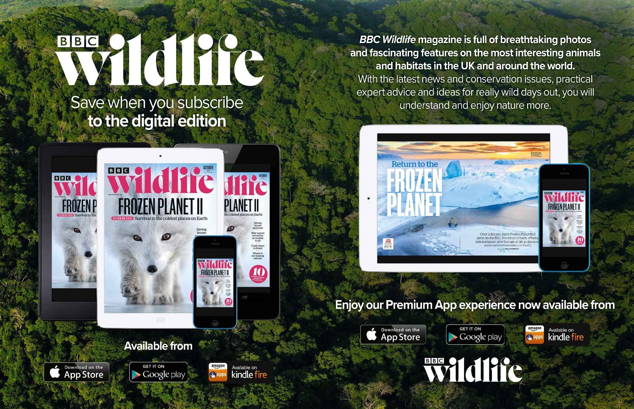 BBC wildlife – BBC Wildlife