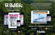 BBC Wildlife BBC Wildlife BBC Wildlife BBC Wildlife