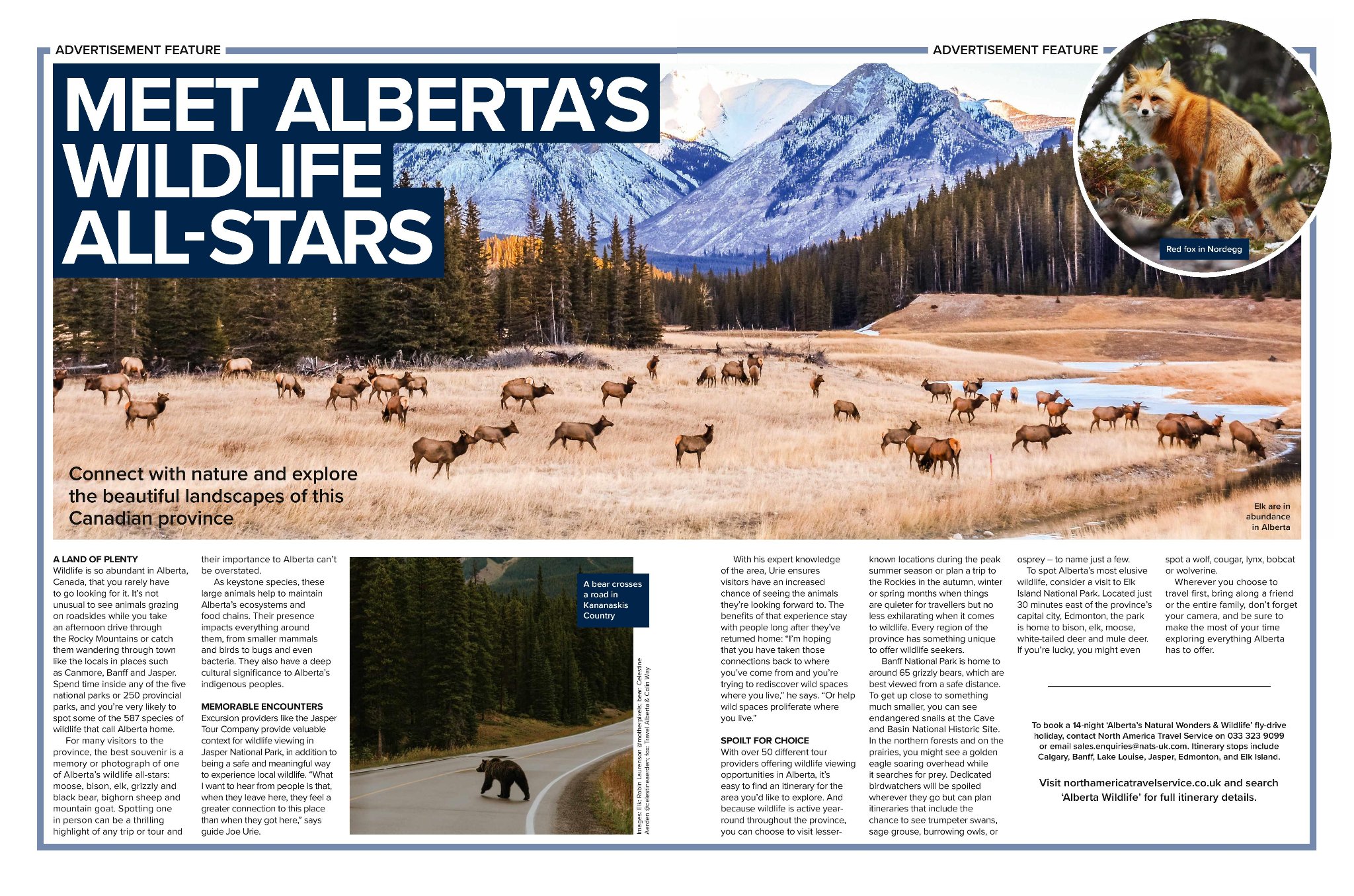 MEET ALBERTA’S WILDLIFE ALL-STARS – BBC Wildlife