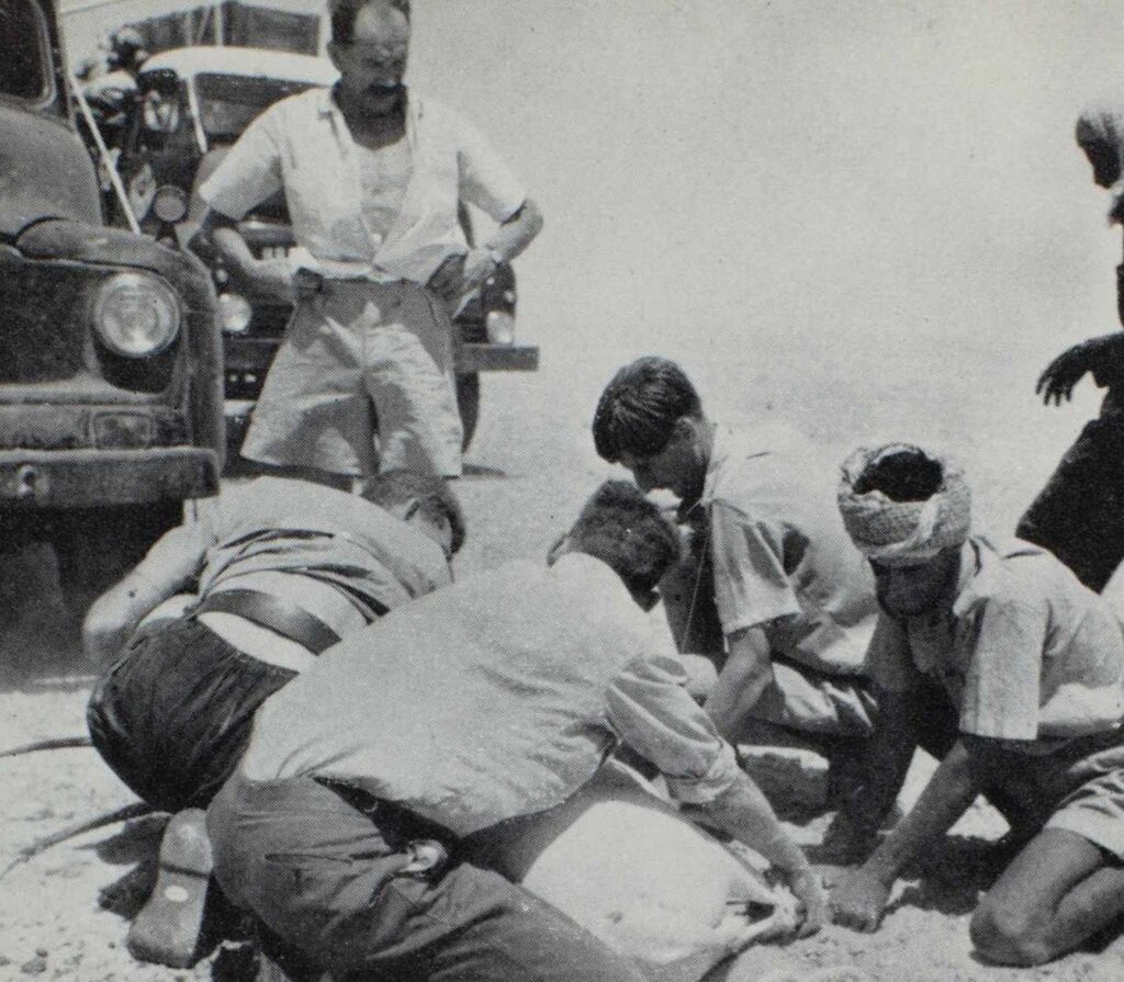 Operation Oryx – BBC Wildlife