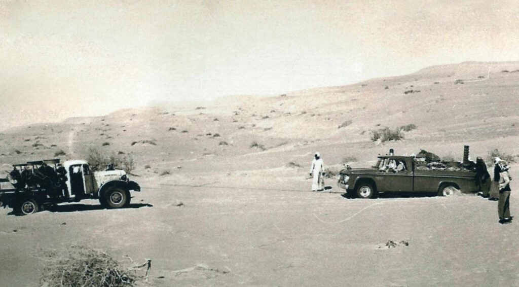 Operation Oryx – BBC Wildlife