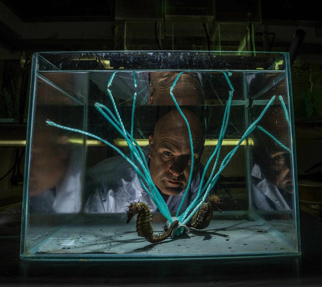 The little fish clinging on in stormy seas – BBC Wildlife