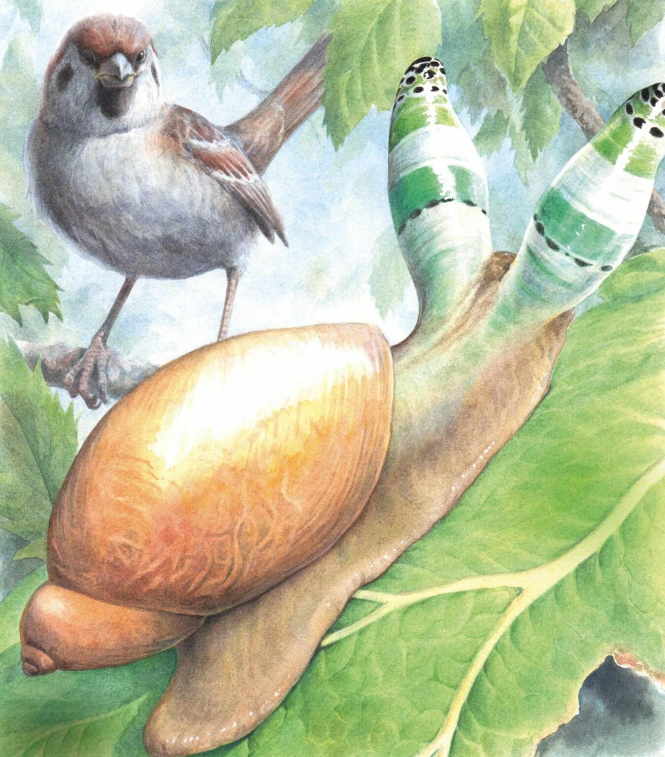 Nick Baker’s Hidden Britain: Green-Banded Broodsac – BBC Wildlife