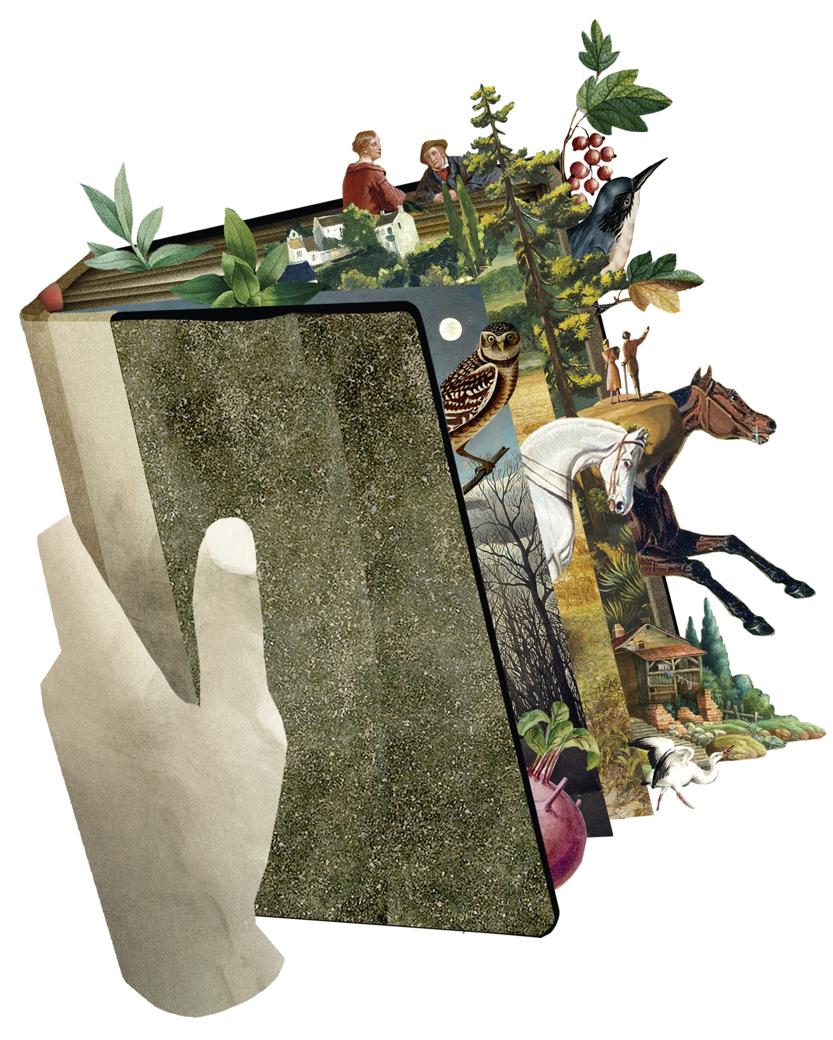 Opinion: Nicola Chester – BBC Countryfile