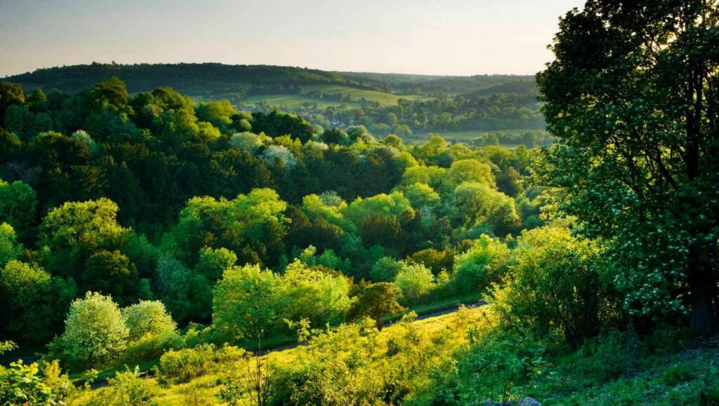 3. Surrey, Box Hill – BBC Countryfile