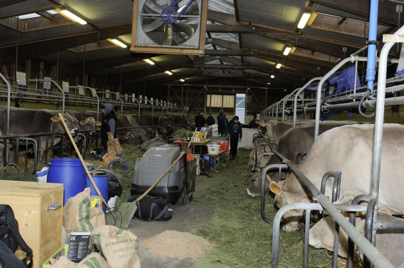 Swiss Classic: Impressionen - Schweizer Bauer