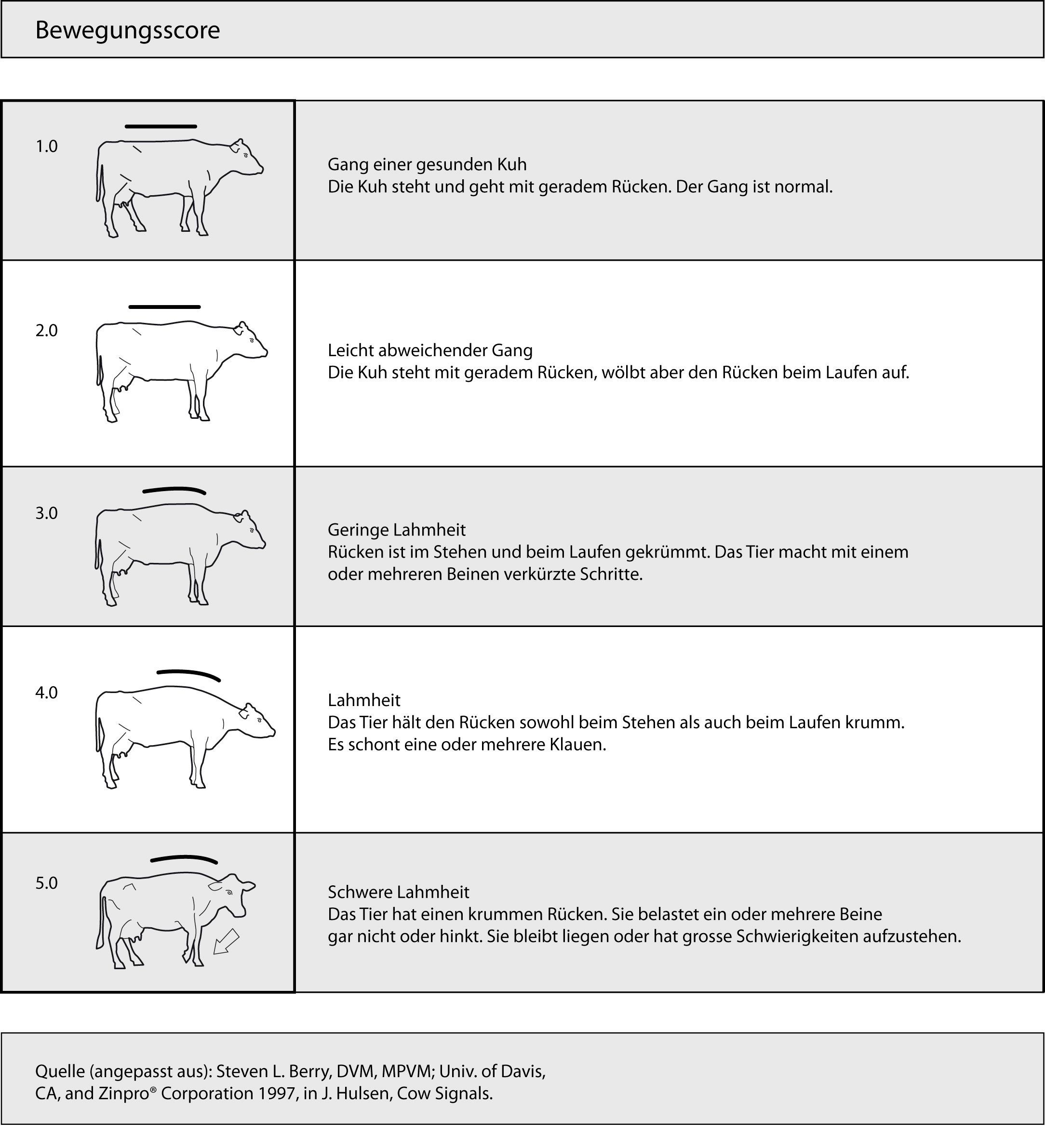 Locomotion Score zeigt Klauenleiden an - Schweizer Bauer