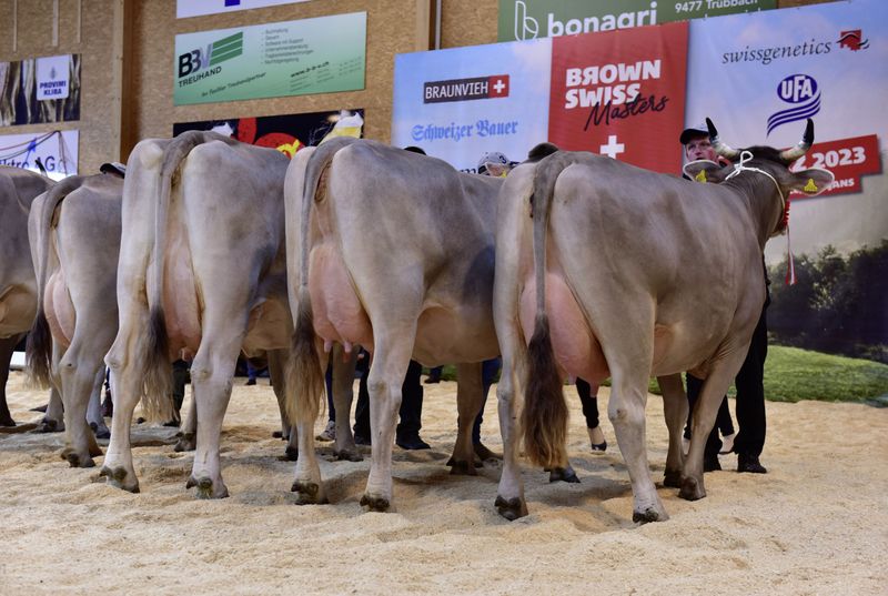 Holdrio Bianca von Kevin Züger und Vento Elin von Martin Schrepfer ...