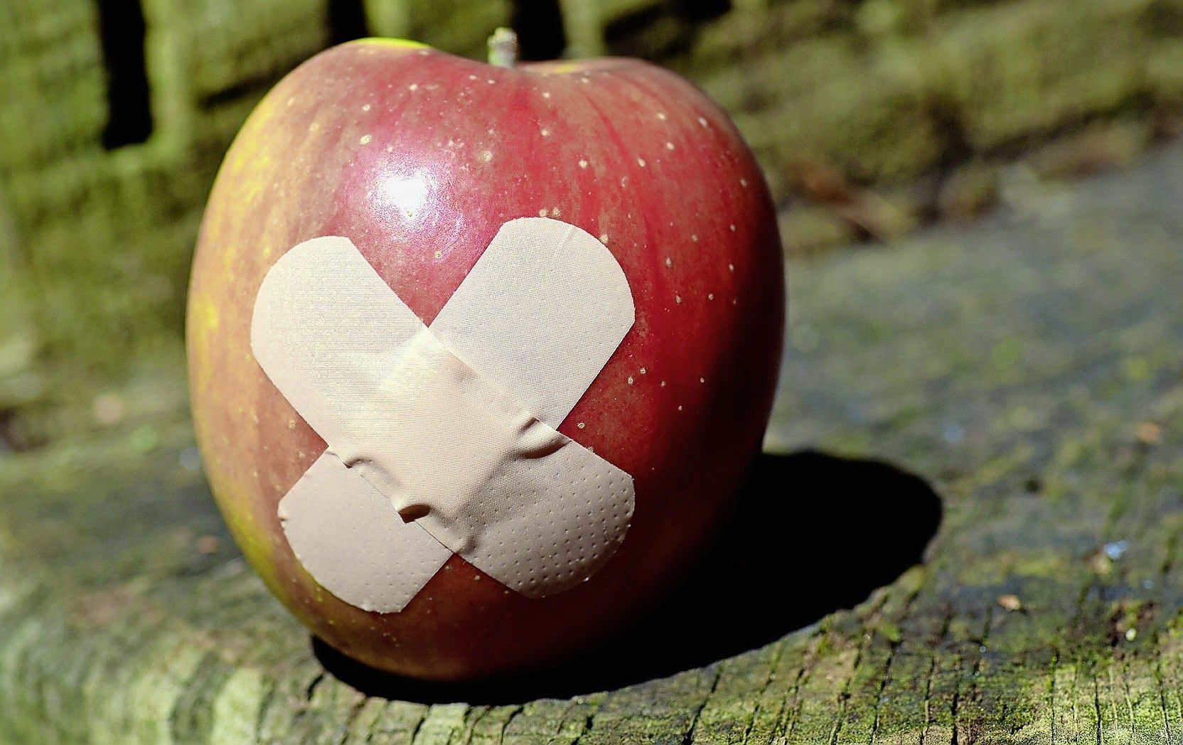 Grüne sagen Ja zum Klimaschutzgesetz - Schweizer Bauer