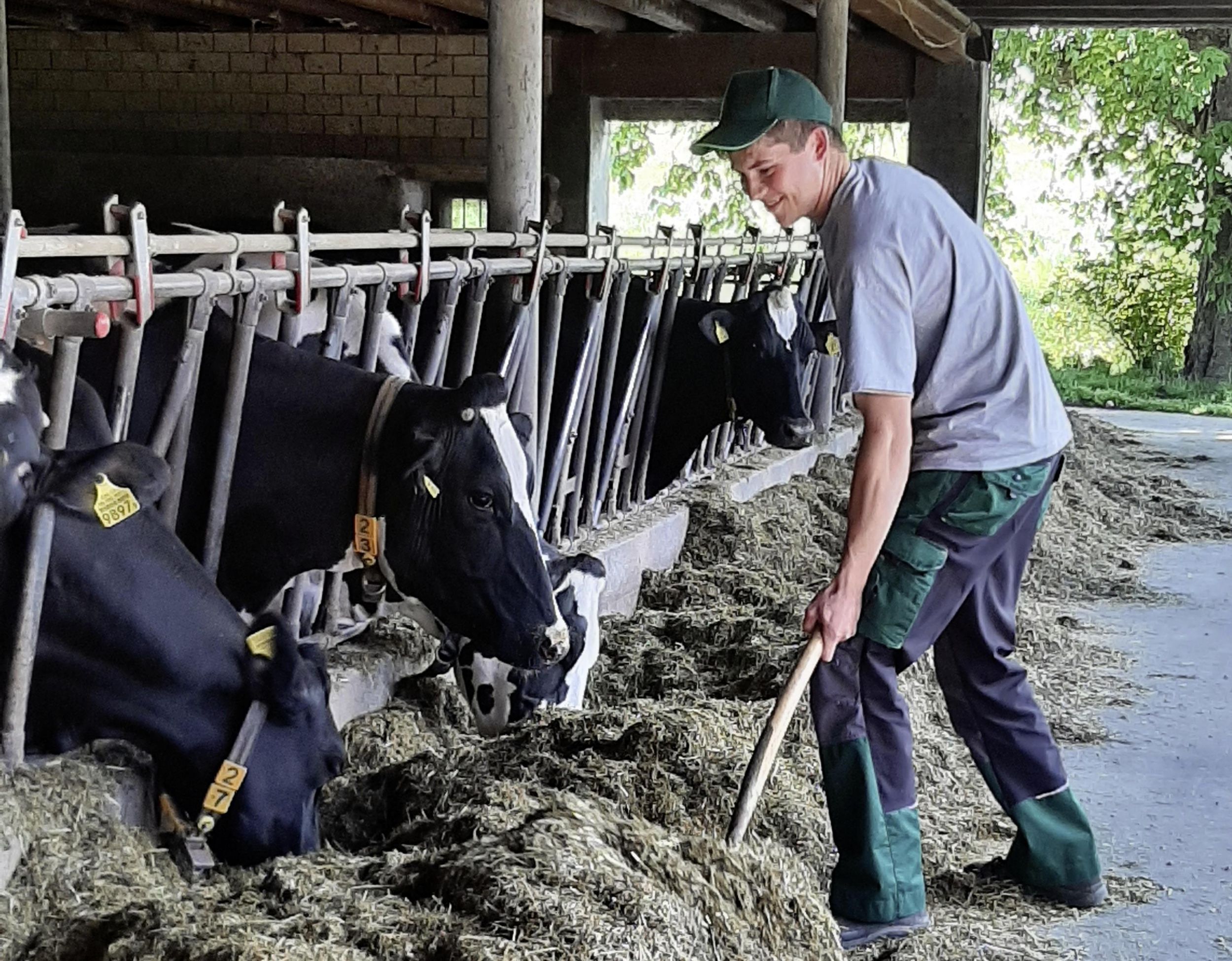 Weizen wird immer knapper und teurer - Schweizer Bauer