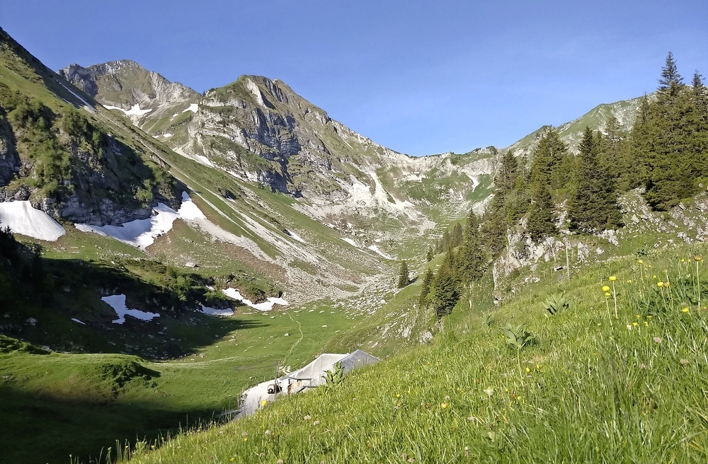 Die Magie der Brecca - Freiburger Nachrichten