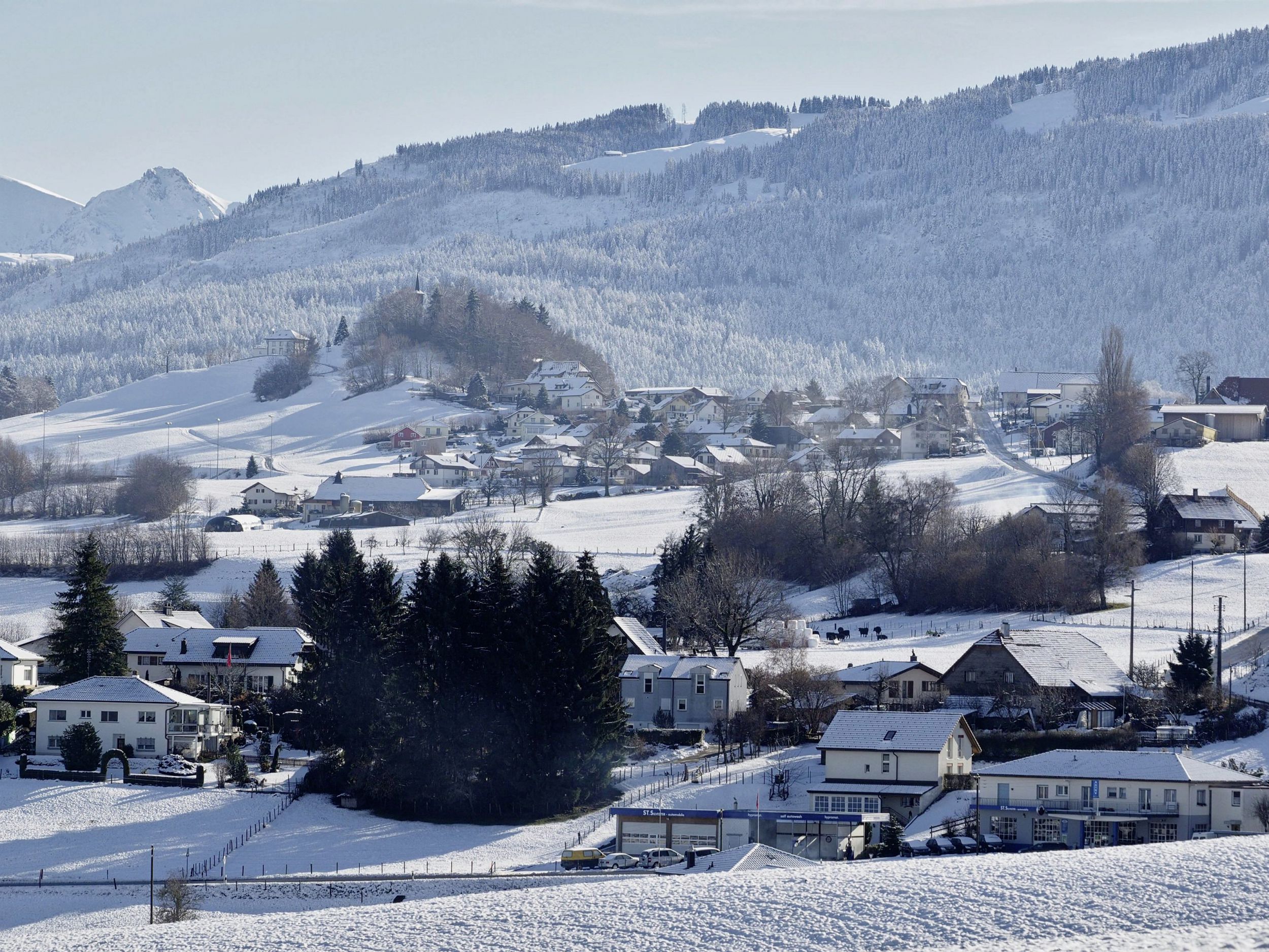 St. Silvester stimmt knapp am Eklat vorbei - Freiburger Nachrichten