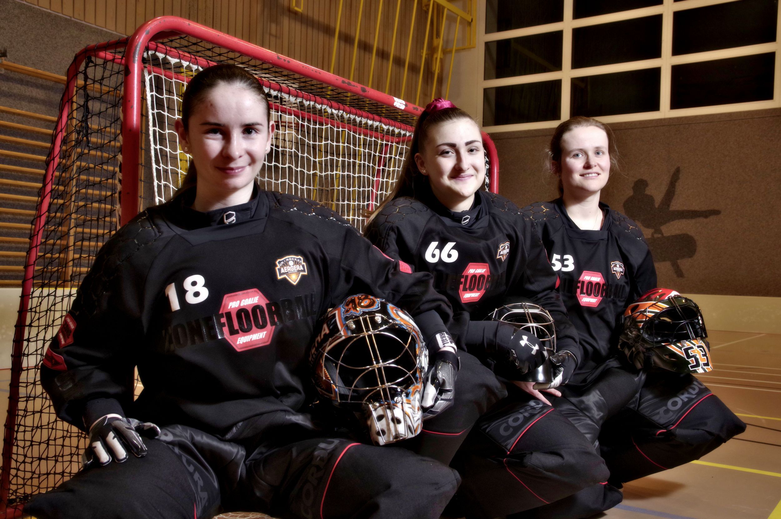 Aergera Giffers: Drei Goalies für Richard - Freiburger Nachrichten