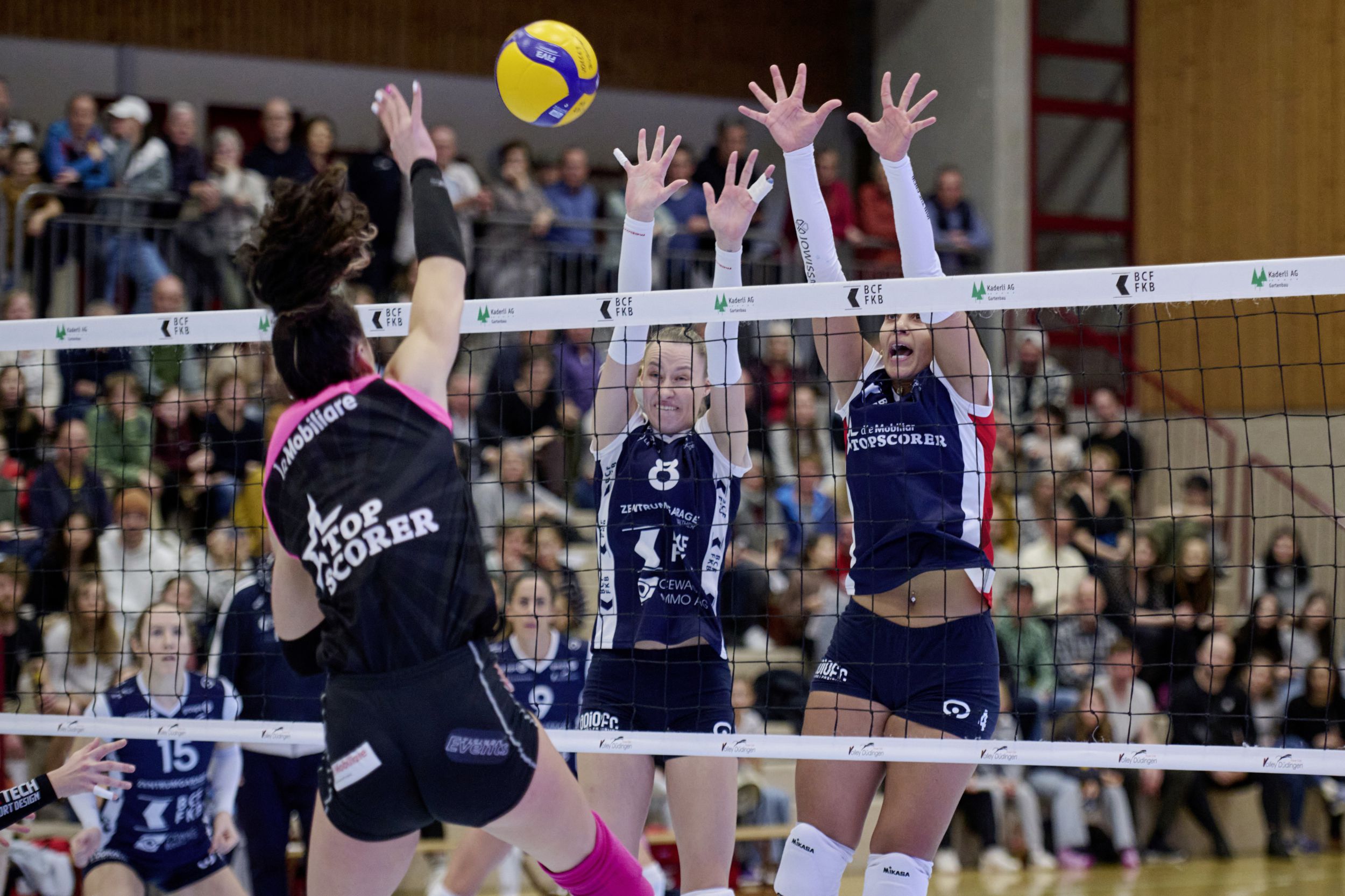 Volley Düdingen: Ein Sieg des ganzen Teams - Freiburger Nachrichten