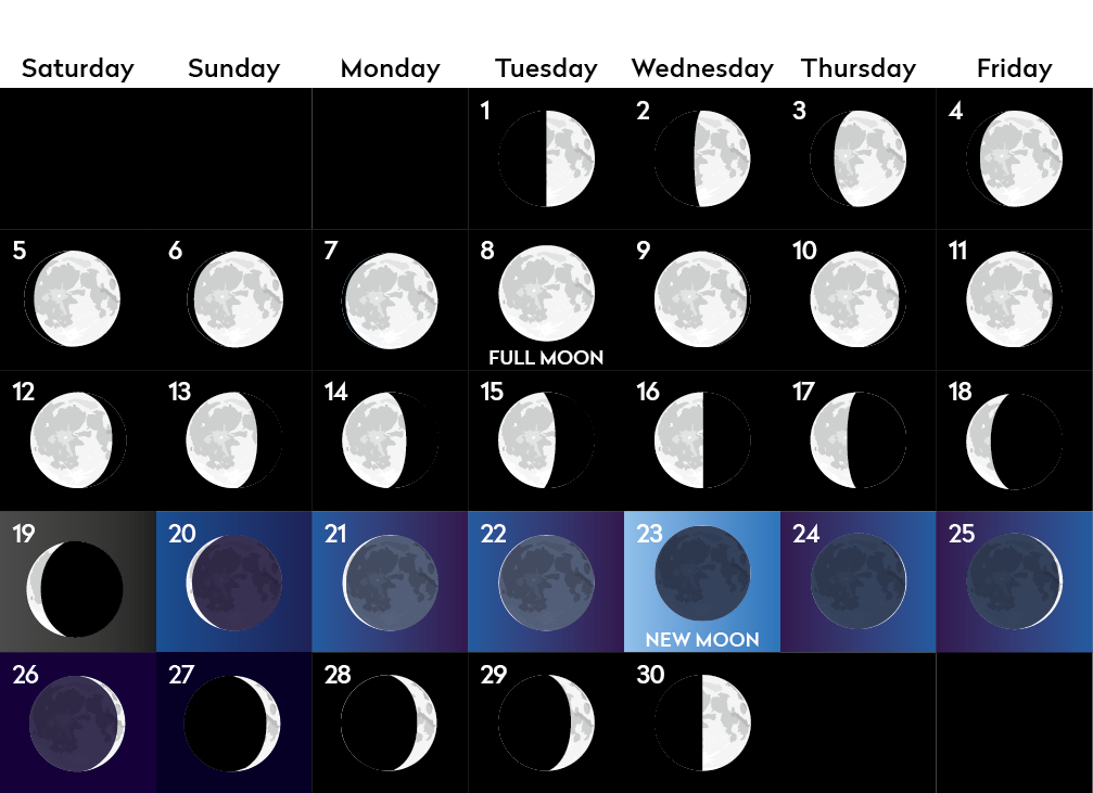 The night sky – November – BBC Sky at Night