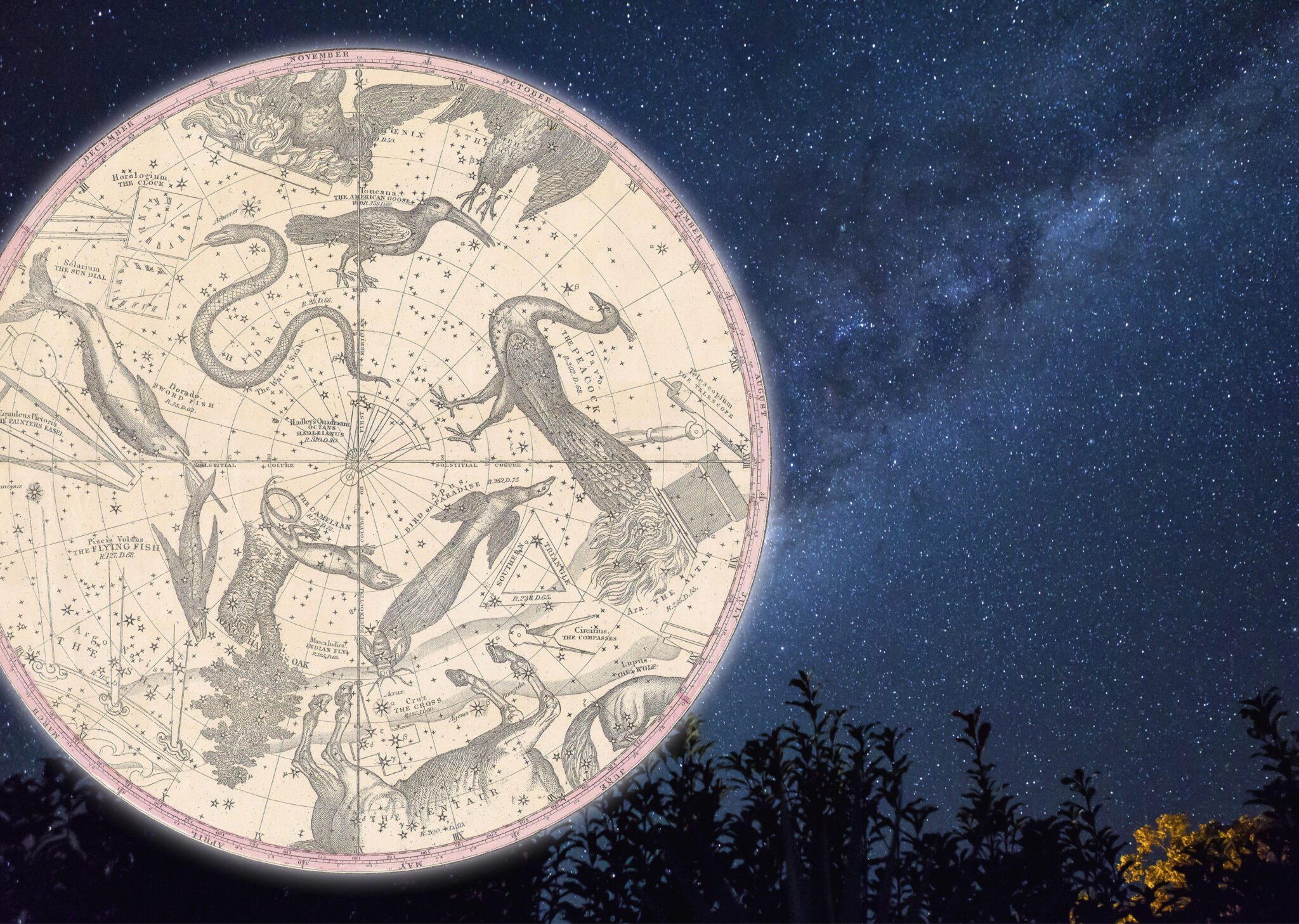 Mapping the southern constellations – BBC Sky at Night